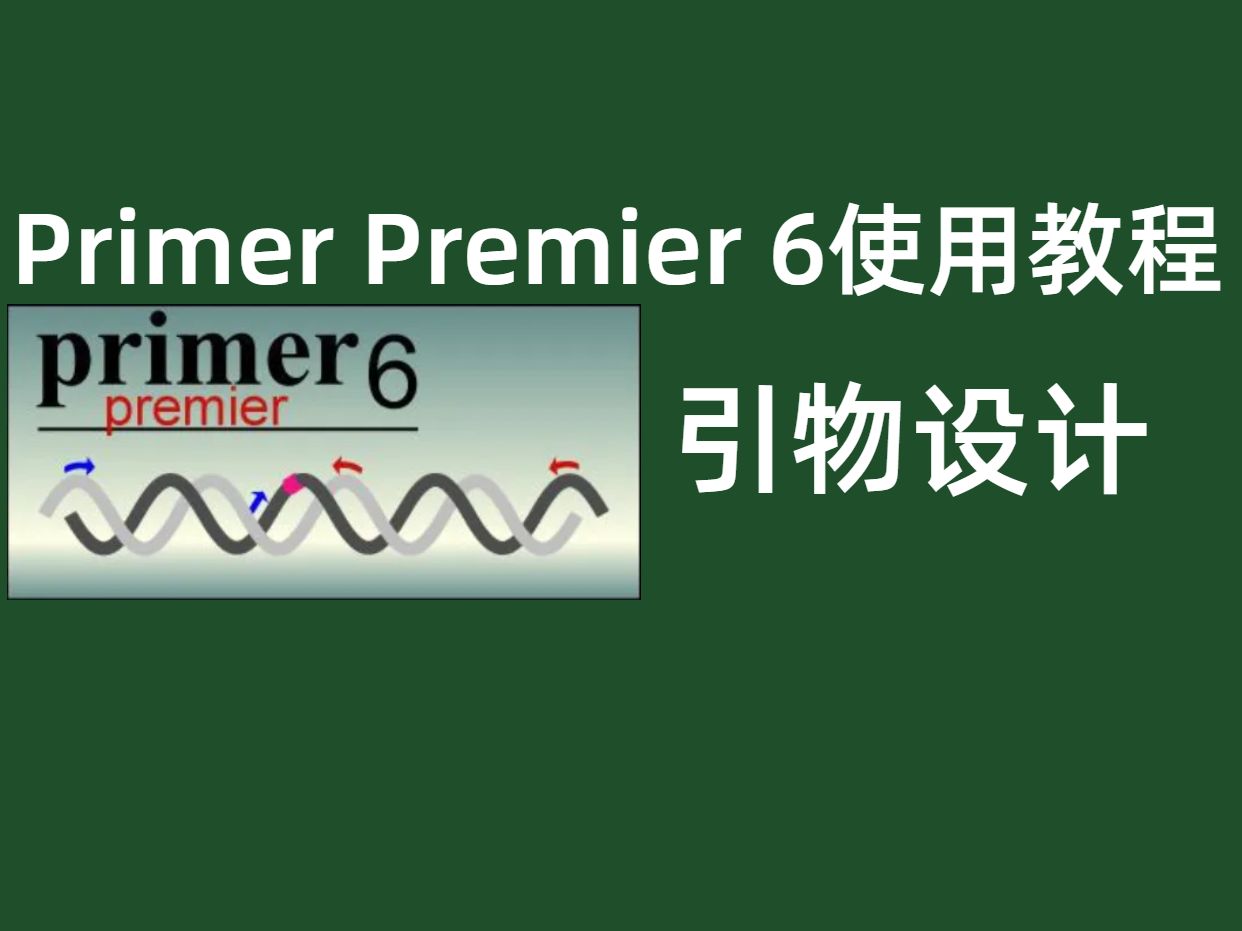 primer6【引物设计】使用教程