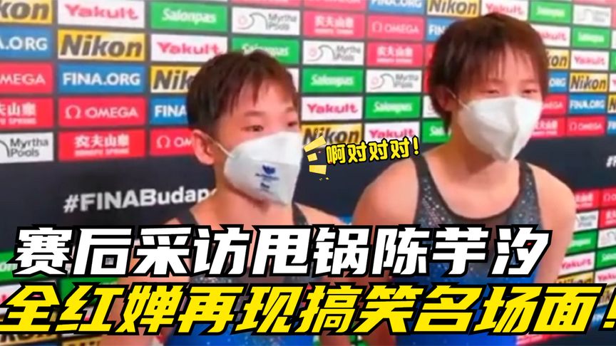 全红婵再现搞笑名场面!赛后采访甩锅陈芋汐,记者都看不下去了