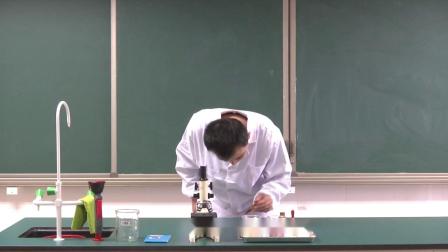 ...省中招理化生实验操作考试~生物:用显微镜观察洋葱鳞片叶表皮细胞