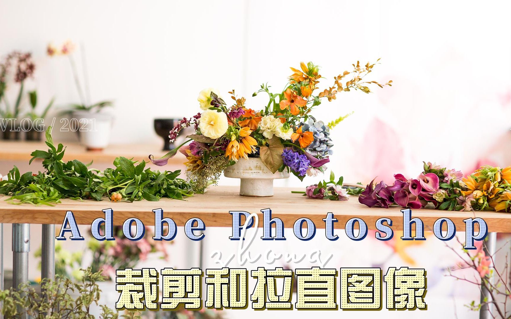 如何在 Adobe Photoshop 中裁剪和拉直图像