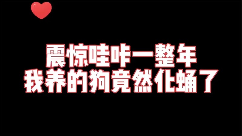 养狗模拟器:我养的狗下蛋了这款养狗游戏不太正常!