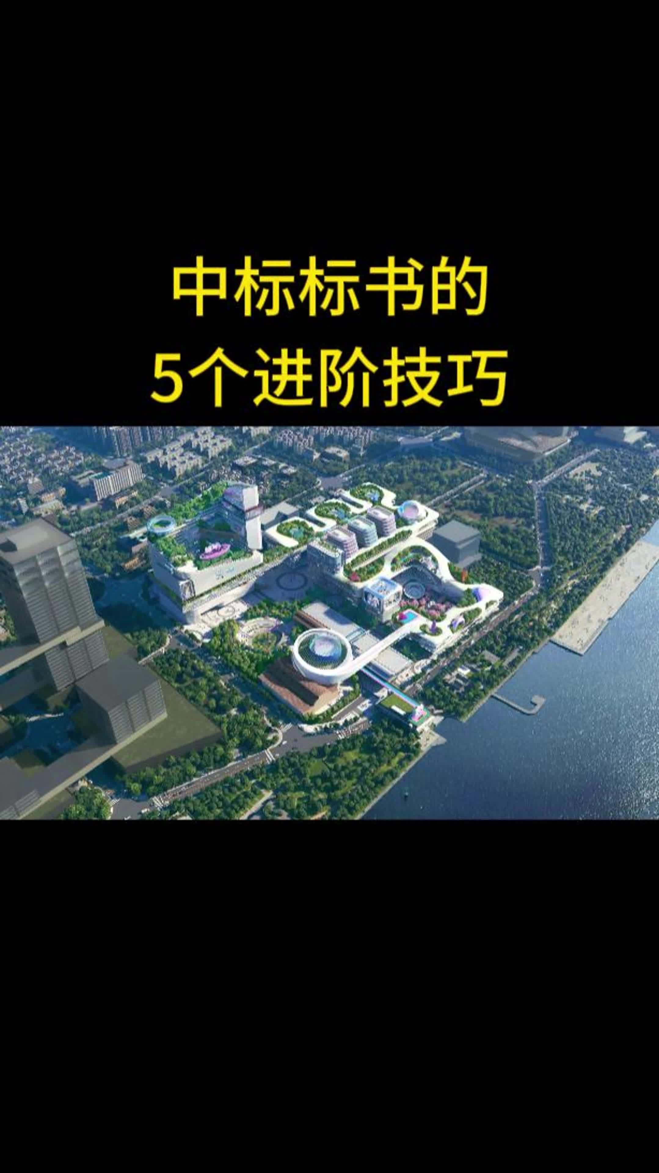 中标标书的5个进阶技巧 #标书 #投标 #招投标 #中标 #工程人