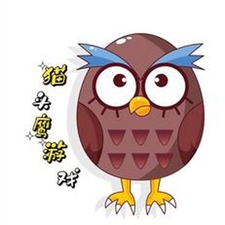 猫头鹰游戏.