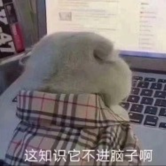 在下是牧羊犬 