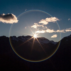 cd_w 