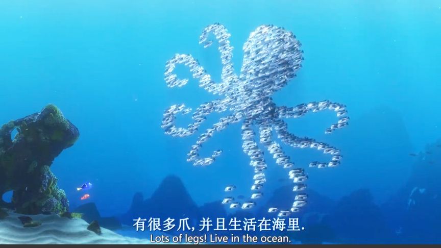 海底总动员:一群罕见的鱼,不仅会模仿秀,还会生动准确的指路