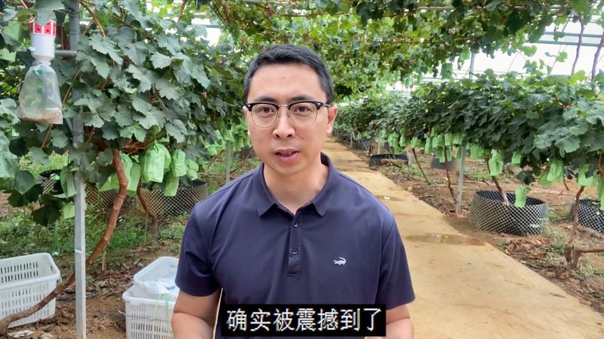 农业现代化,提高农产品质量和标准化,让农民既增产又增收