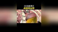 3D医学动画:胃是如何运作的