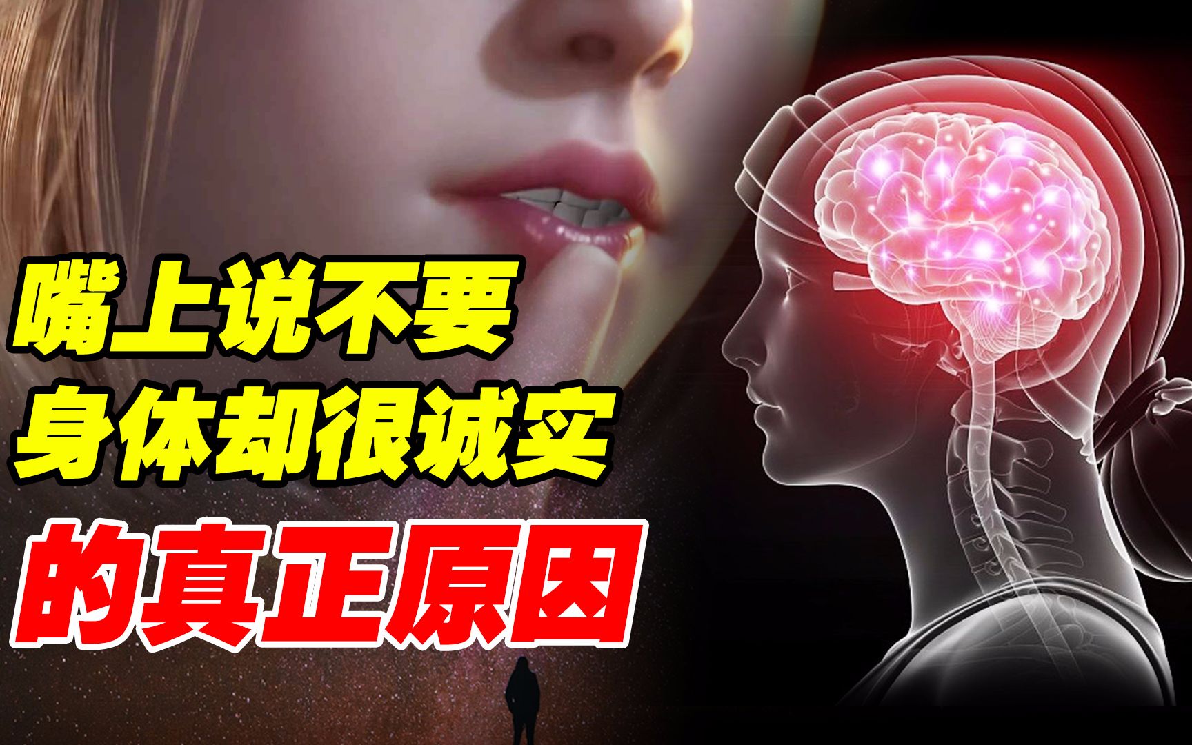 你的身体有两个CPU 搭载着双系统!探索身体奥秘 纵享开挂人生