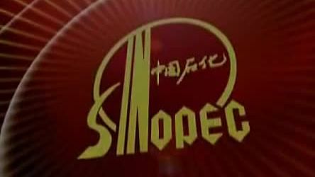 中国石化电力专业岗位操作安全培训(值的学习)