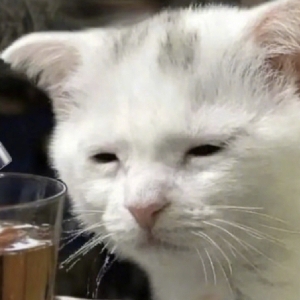 長風一 