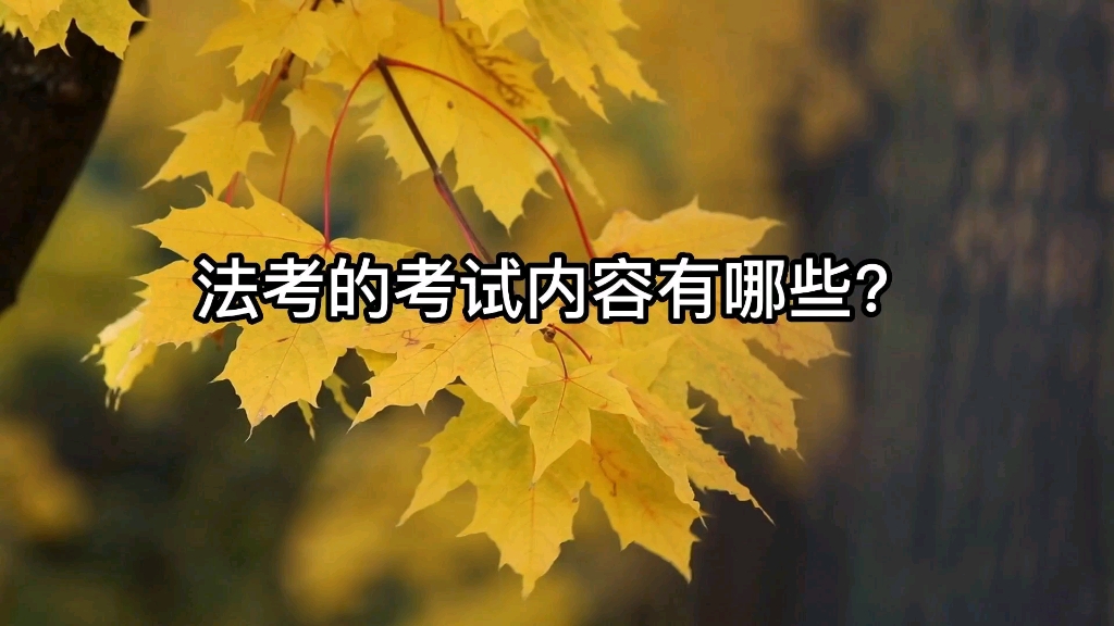 法考的考试内容有哪些?