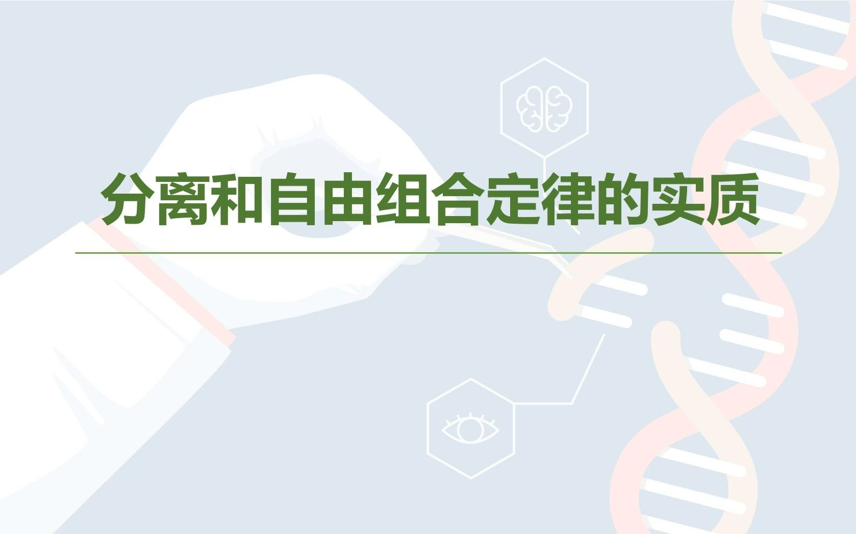 【必修二 · 同步课】2-2-4-分离和自由组合定律的实质