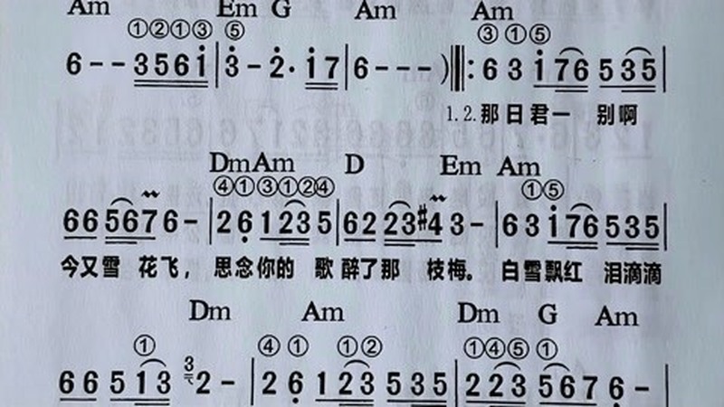 电子琴和弦简谱《梅花泪》,简谱视唱
