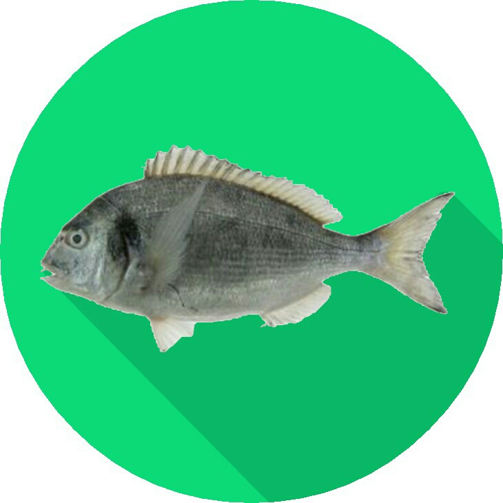 Hyoxygen 