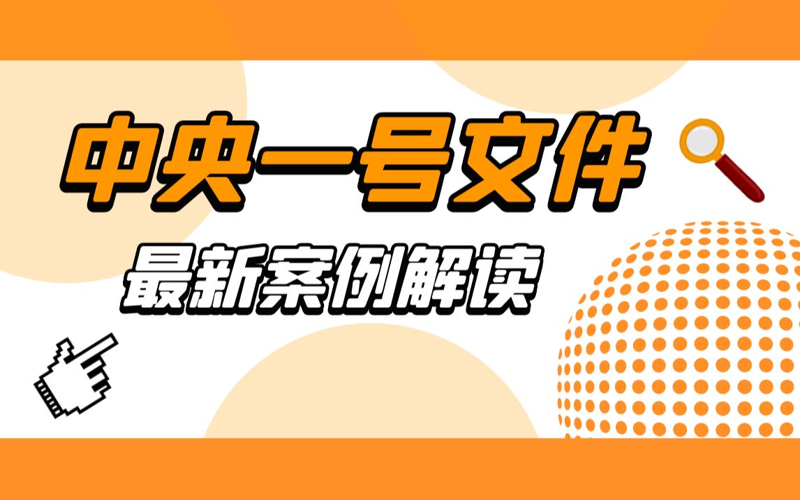中央一号文件最新案例解读