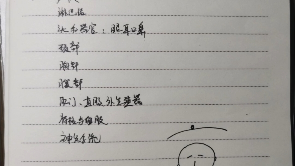 巧记一般体格检查顺序,简易查体顺序,多画几遍就记住了!