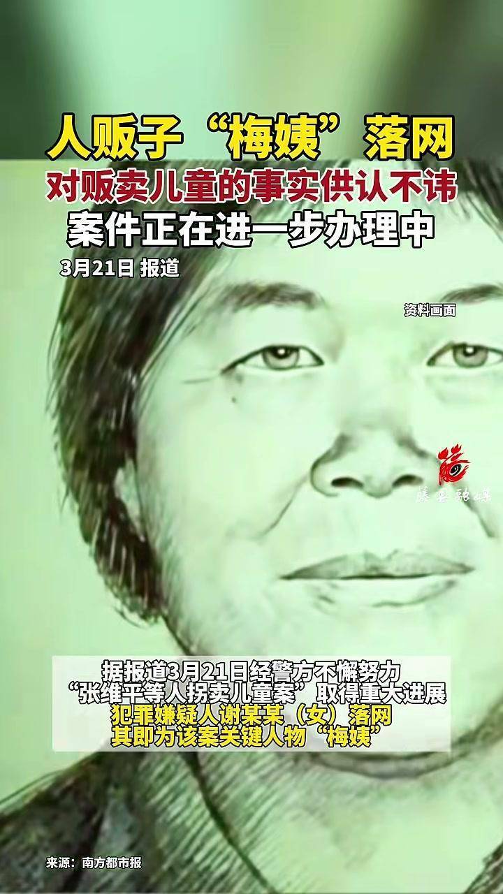 人贩子"梅姨"落网