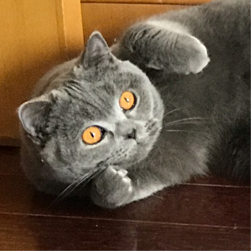 GJC的生活见闻 