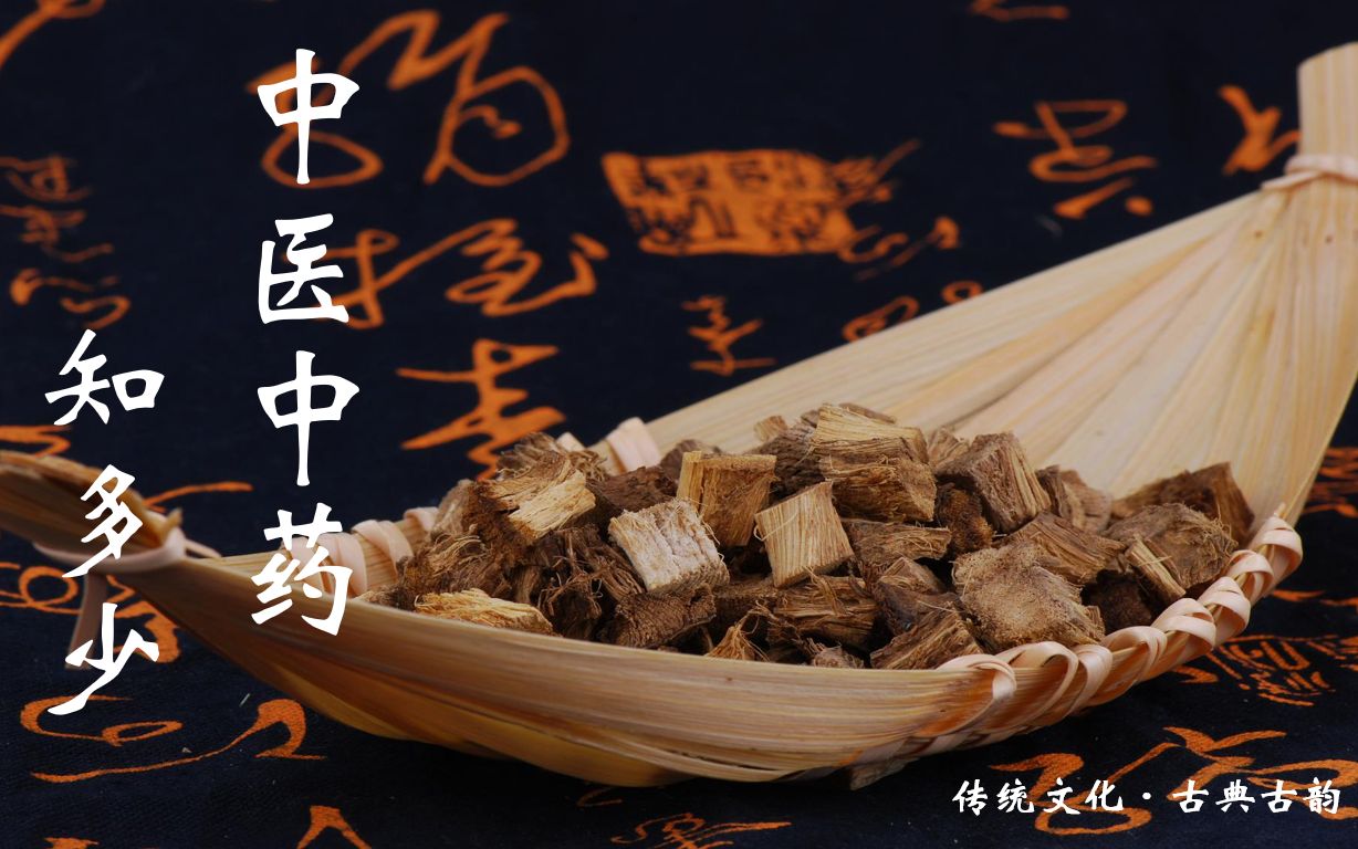 【公益微课】中医小课堂：走进中药大世界