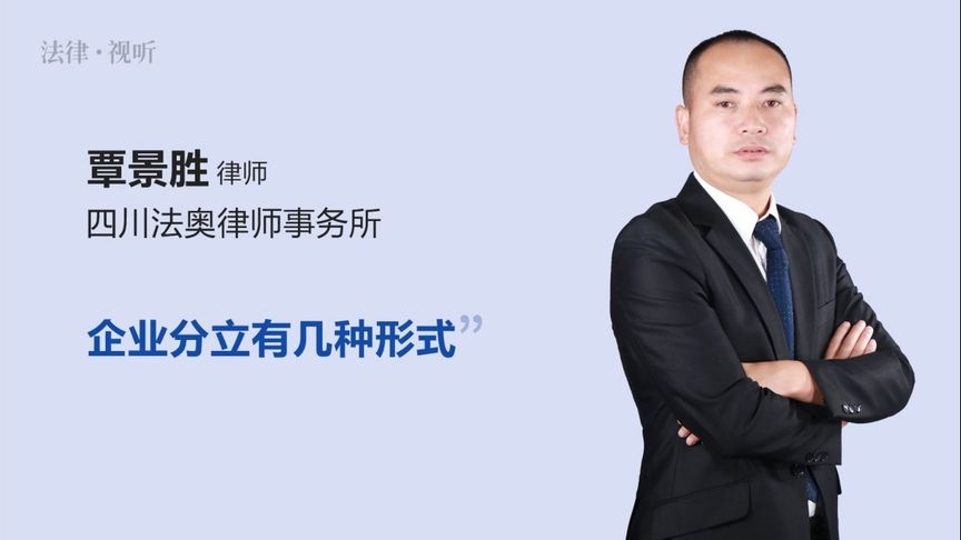 企业分立有几种形式