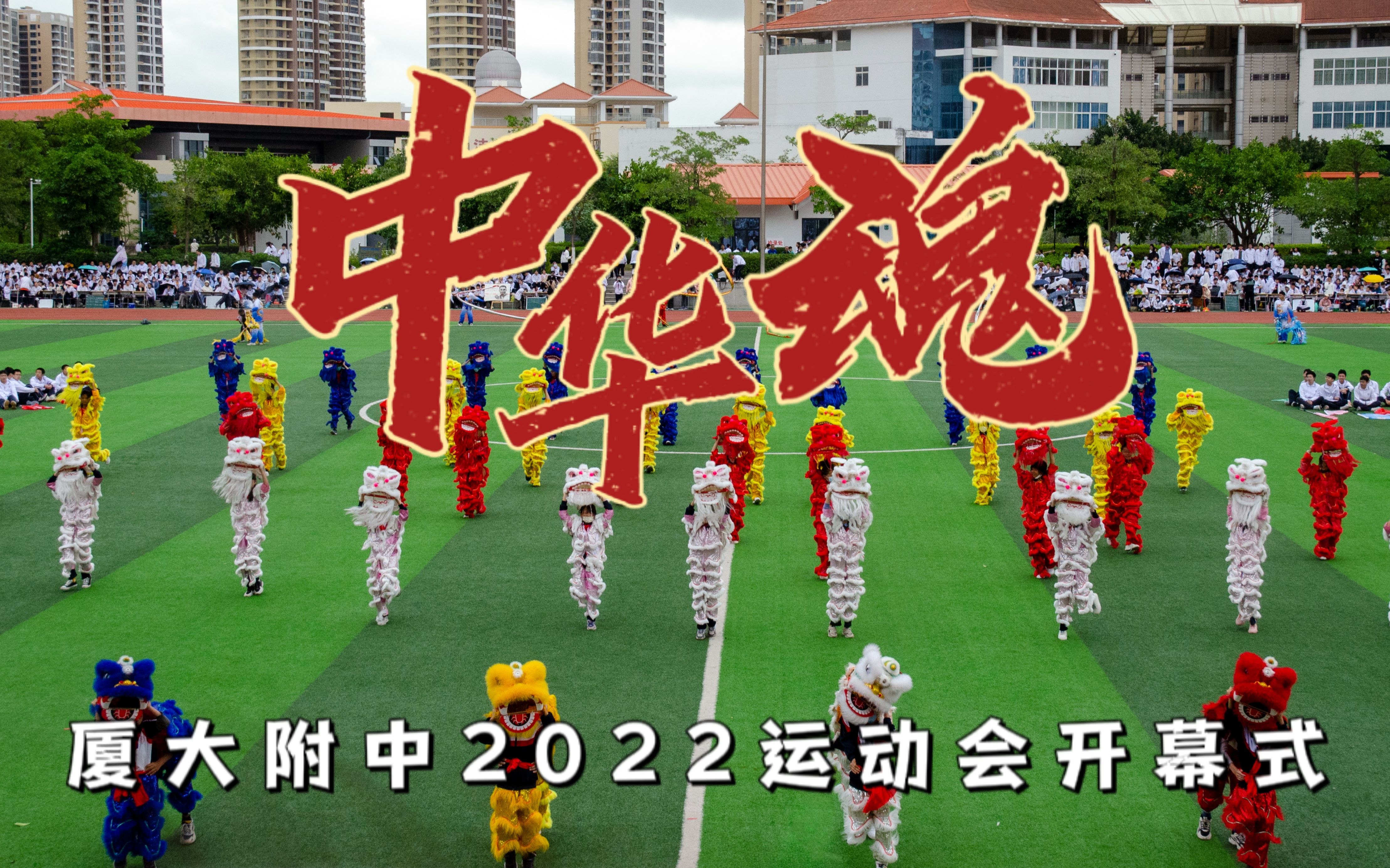 中华魂 舞狮武术表演 | 厦大附中2022秋季运动会开幕式