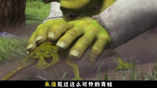 这样表达爱的方式你见过吗?