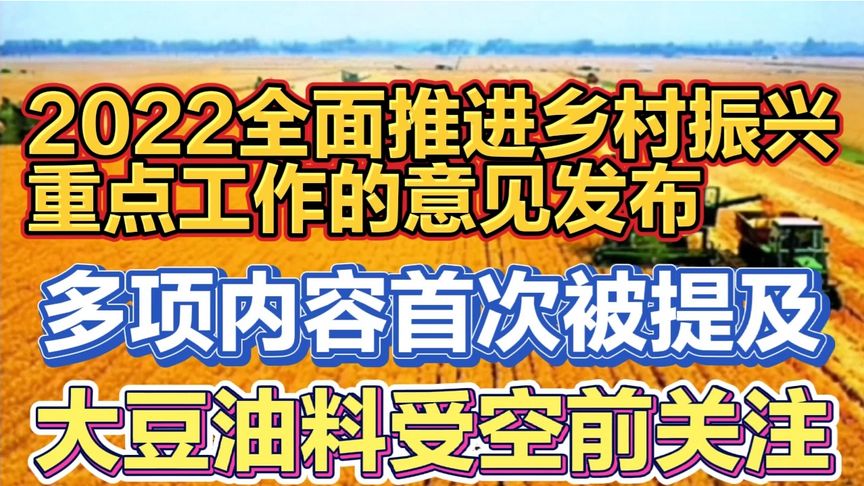 中央一号文件发布聚焦今年工作重点#多项内容首次提及#头条热点