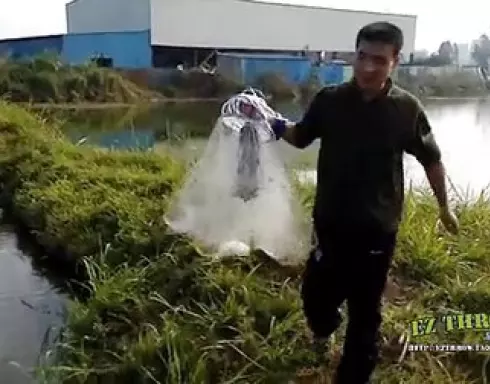 易抛王野战抓鱼实录手抛网之最第二代手撒网倍爽下面视频简介有群