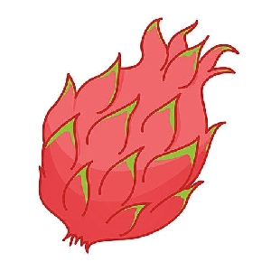 火龙果少儿美术 