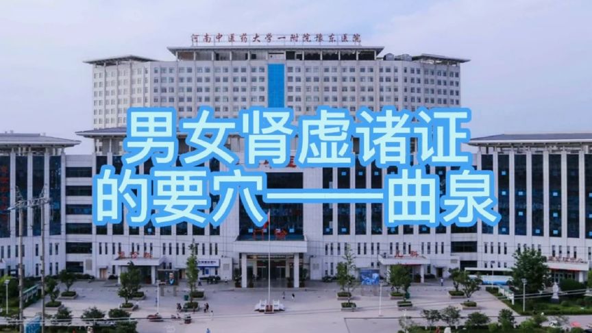 男女肾虚诸证的要穴——曲泉