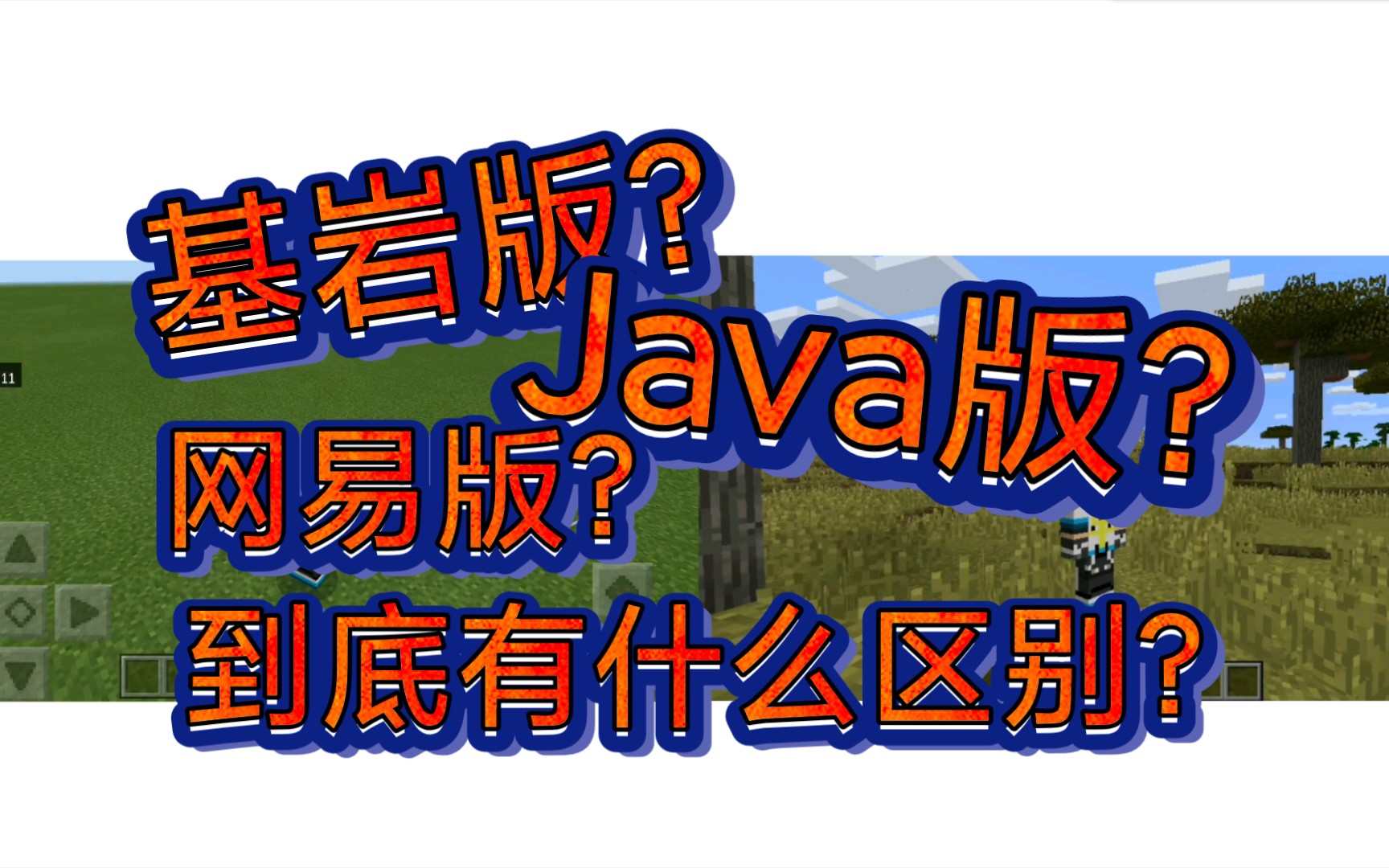 基岩版?Java版?网易版?到底有什么区别?【我的世界】