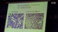 观察根尖分生组织细胞有丝分裂实验的教学案列