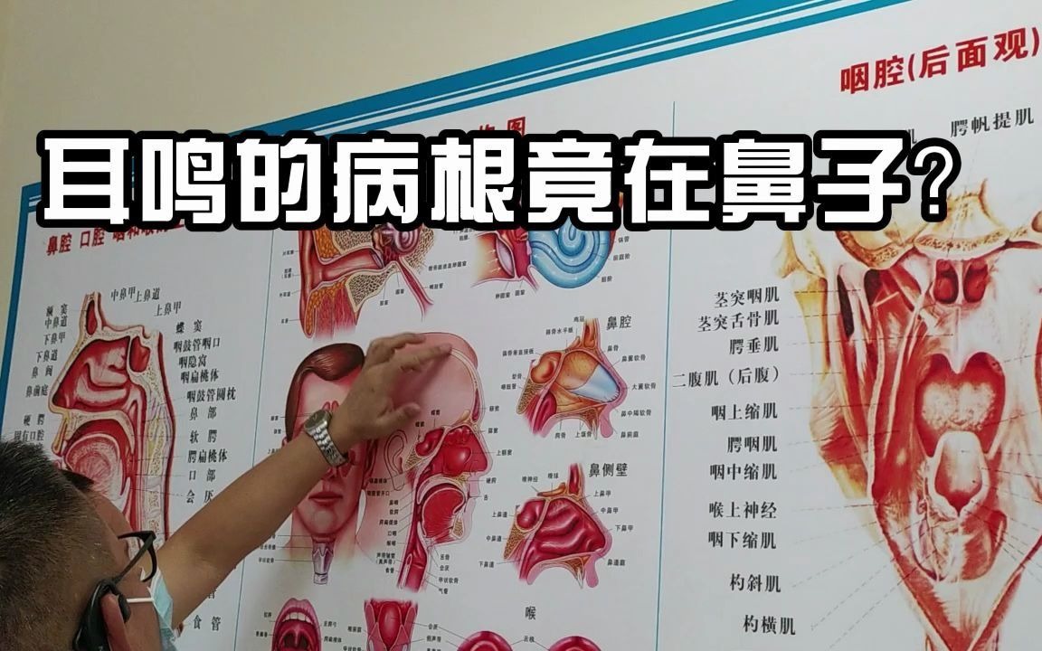 医生讲解:“有一根我们看不到的管子(咽鼓管)连接了鼻子和耳朵,所以...