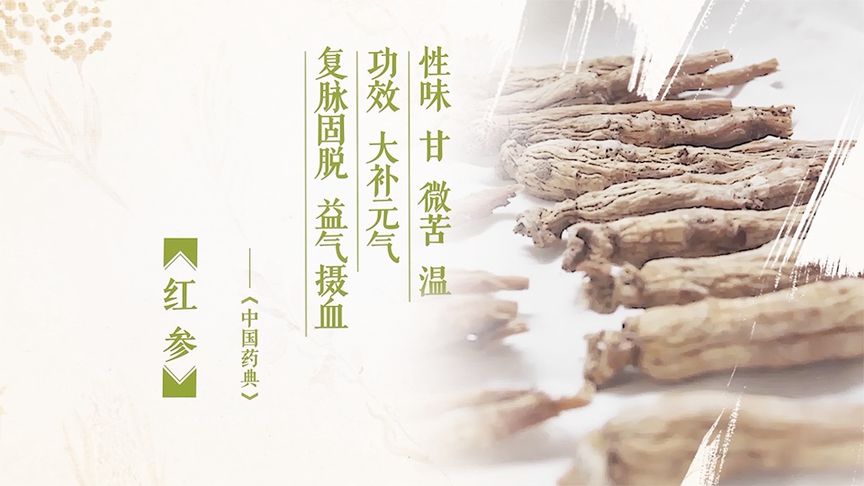 100秒带你区别人参和红参