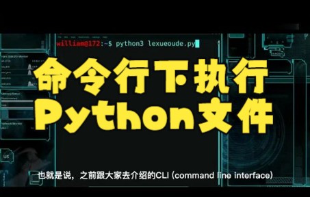 【Python零基础入门技巧】今天教大家命令行下执行Python文件!