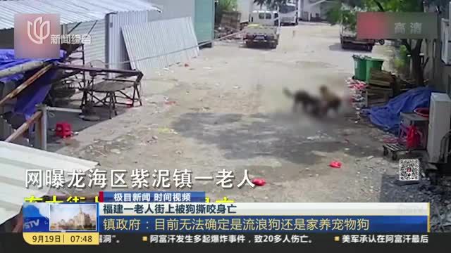 福建一老人街上被狗撕咬身亡 镇政府:目前无法确定是流浪狗还是家养...