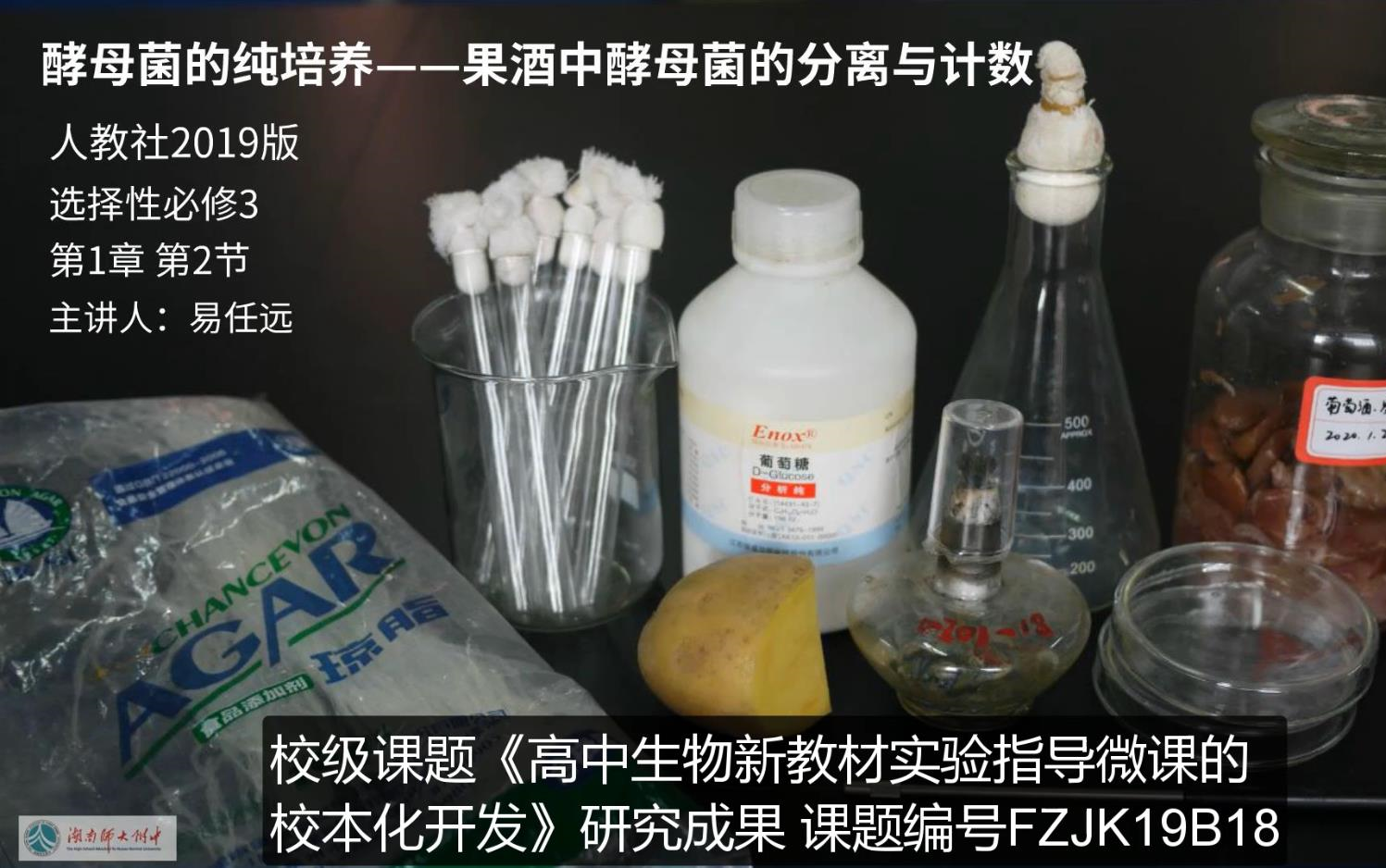 酵母菌的纯培养——果酒中酵母菌的分离与计数—2019版