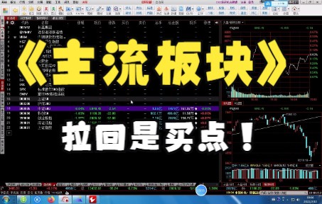 大盘指数拉回就是买点,指的是主流板块