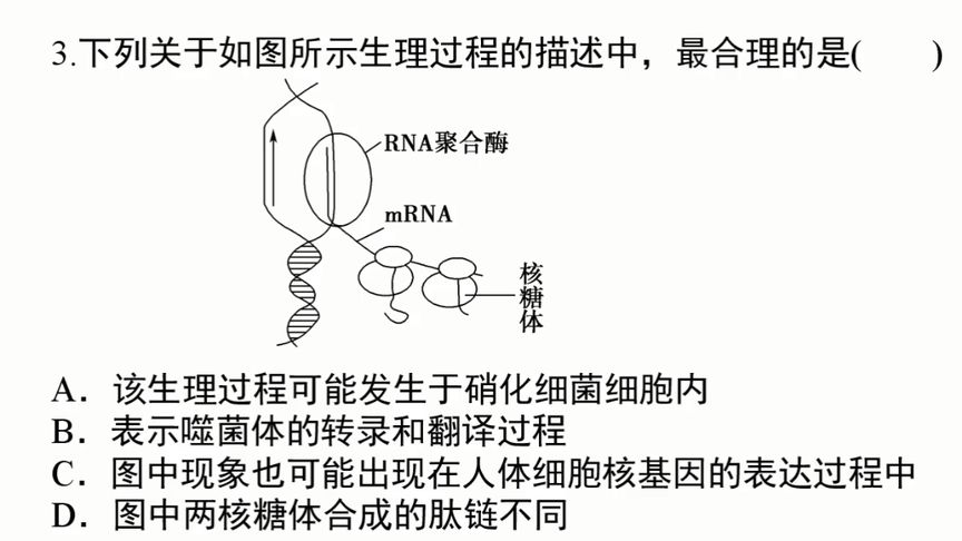 高一生物,认真听讲的同学也不一定会做这一题,因为课本上不讲