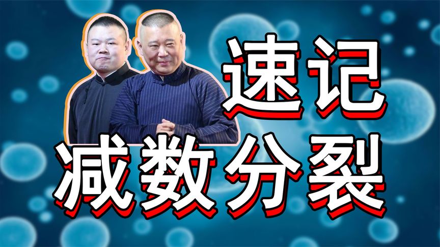 【速记高中生物】减数分裂的过程怎么记?4分钟牢记高中生物重点