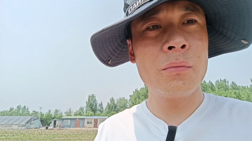 草莓苗的种植方法及管理,草莓种苗繁育一代苗遇到的问题