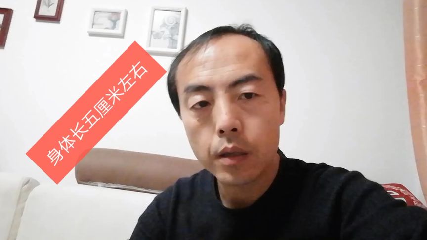 领养蚕宝宝第十七天,突然生病了,买了点药不知效果如何