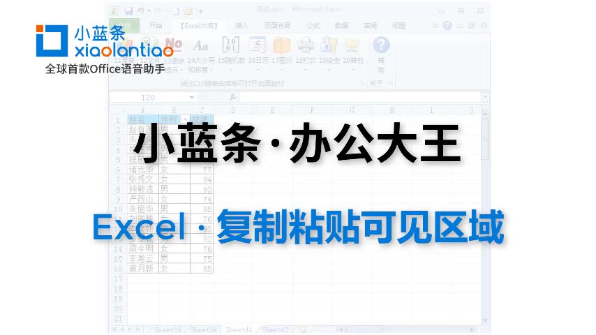 小蓝条办公大王Excel复制粘贴可见区域
