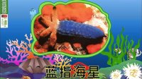 海底世界 动画 幼教