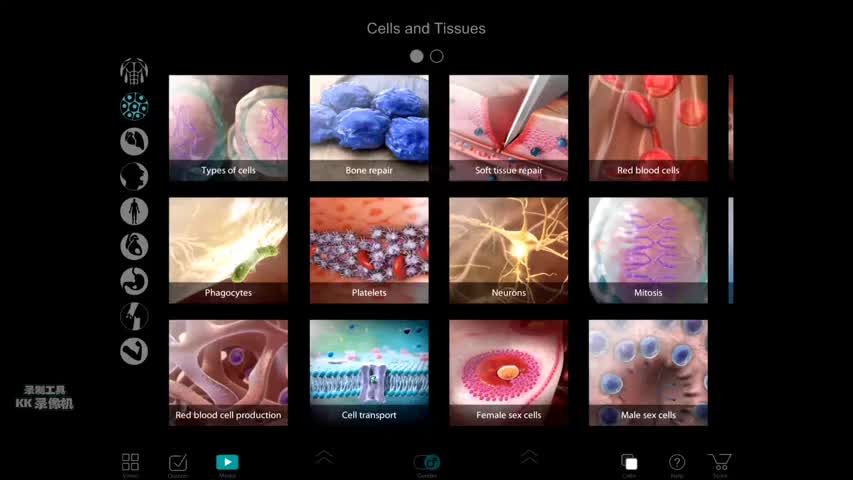 健康知多少.人体解剖学.14.细胞种类