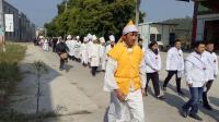 漳浦县杜浔镇林苍村林苍自然村刘日圩出殡仪式