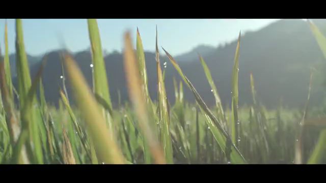 《回响·同语同心》!贵州交通运输行业推广普通话宣传片来了!