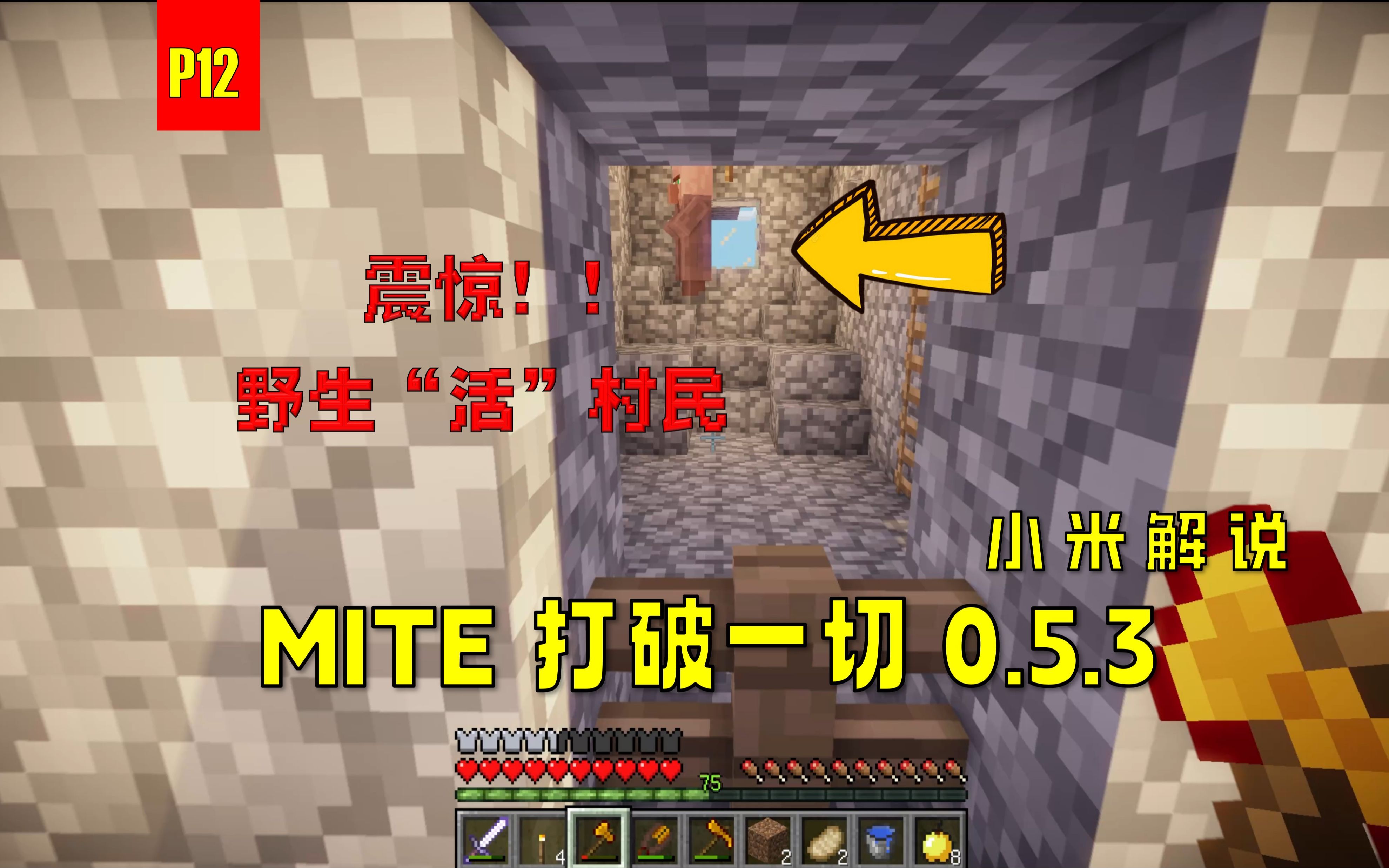 【4K】我的世界没那么简单(MITE)打破一切 P12 村庄与地幔