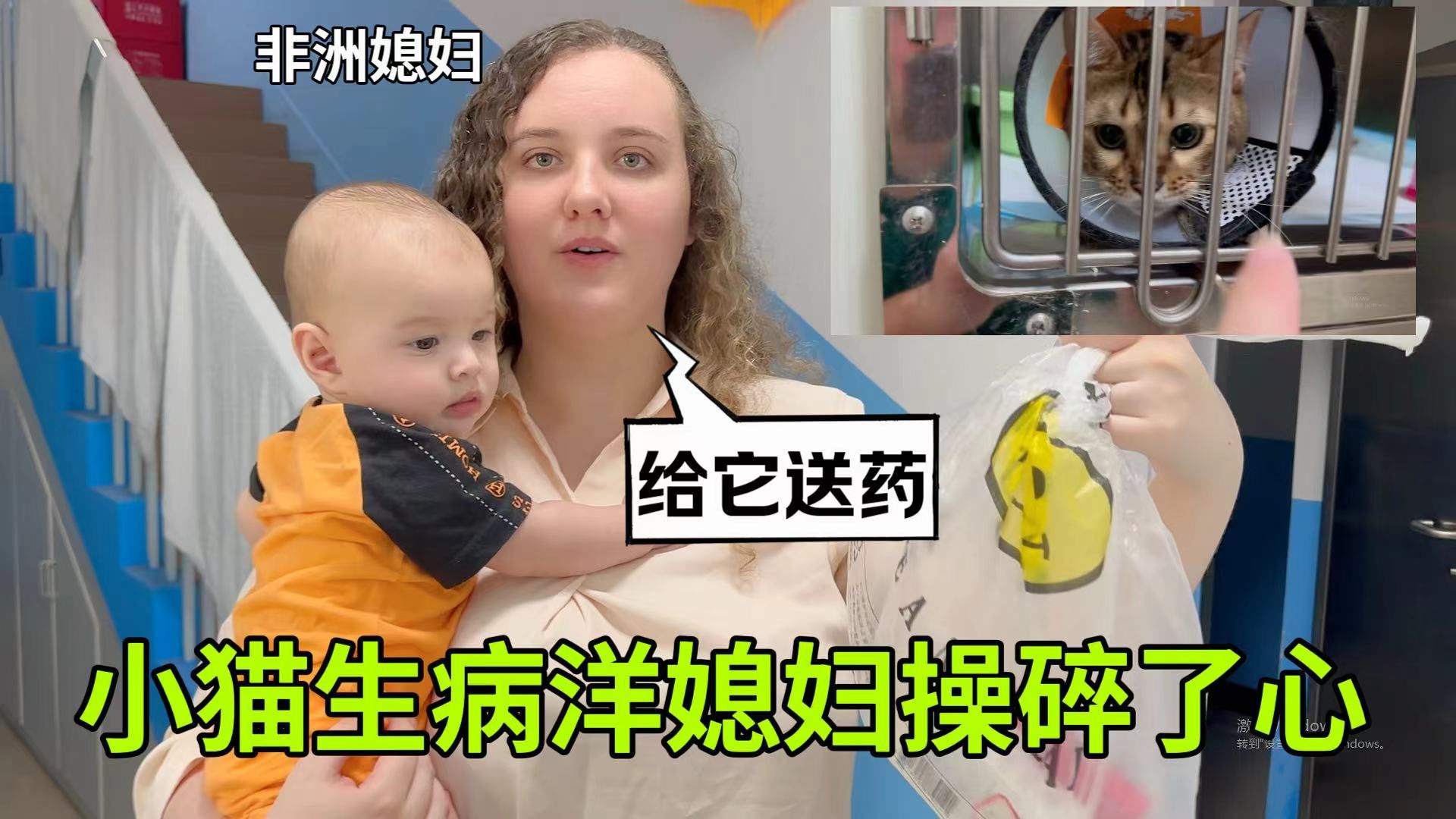 小猫生病送去医院治疗,非洲洋媳妇看的直心疼,只能隔着笼子摸